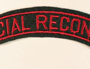 U.S.A. SPECIAL RECON.BN. WW2 Shoulder Title Badge — Lot No. 4910/sf70 ...