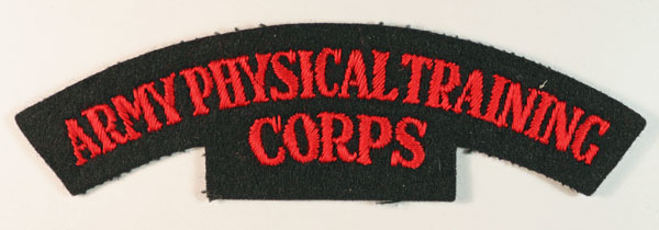 ARMY PHYSICAL TRAINING/CORPS WW2 Embroidered Shoulder Title Badge — Lot ...