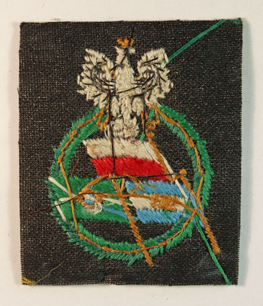 POLISH ARMY VOLUNTEERS FROM SOUTH AMERICA WW2 Formation Sign Badge ...